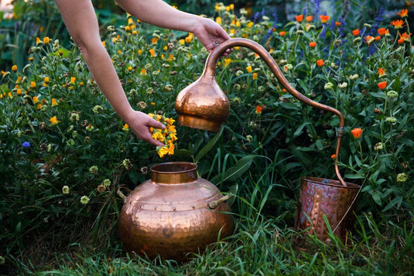 What is a Hydrosol? - Herbal Revolution