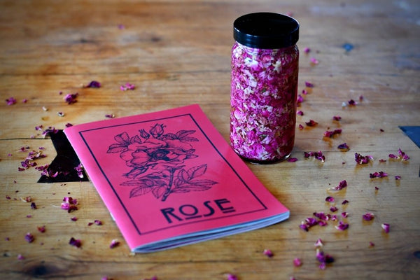 Rose Petal Oxymel - Herbal Revolution