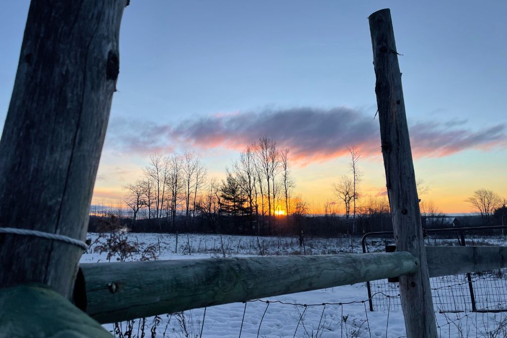 The Winter Solstice: Honoring the Dark, Welcoming the Light - Herbal ...