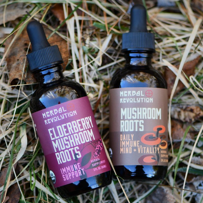 Elderberry Mushroom + Roots Elixir - Herbal Revolution