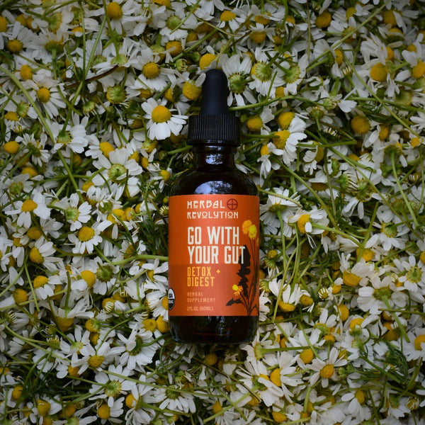 Go With Your Gut Detox + Digest Elixir - Herbal Revolution