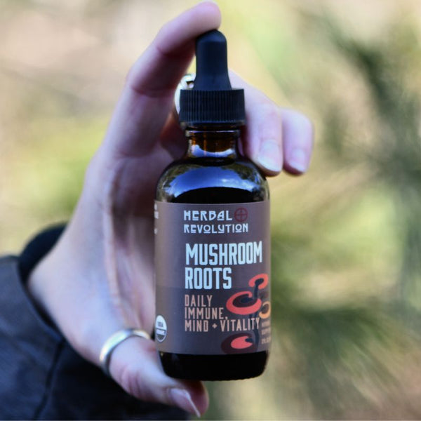 Mushroom + Roots Elixir - Herbal Revolution